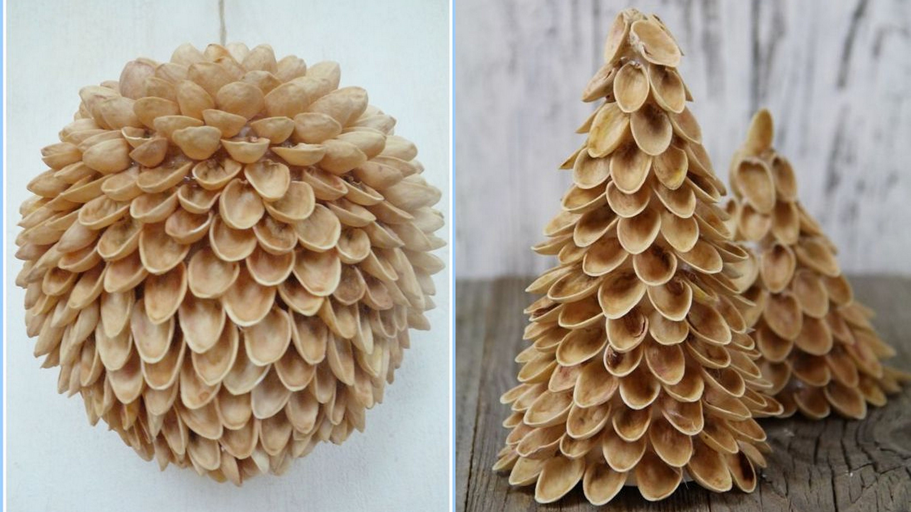 Pistachio Shells for Craft Vase Fillers Natural Craft Supplies 100/200 ...