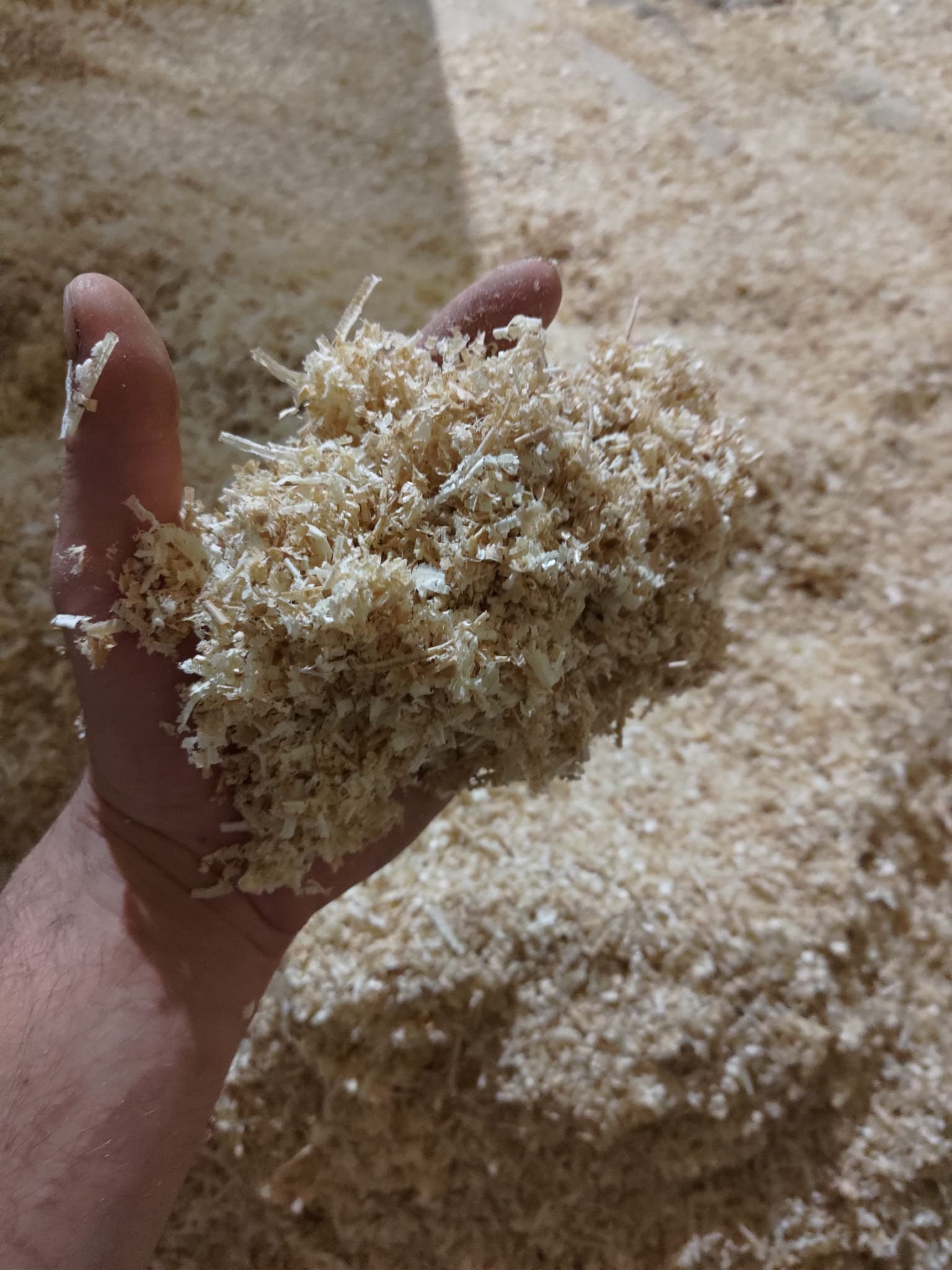 Natural Wood Sawdust Wood Dust Eco Friendly Fire Starters Organic Wood ...