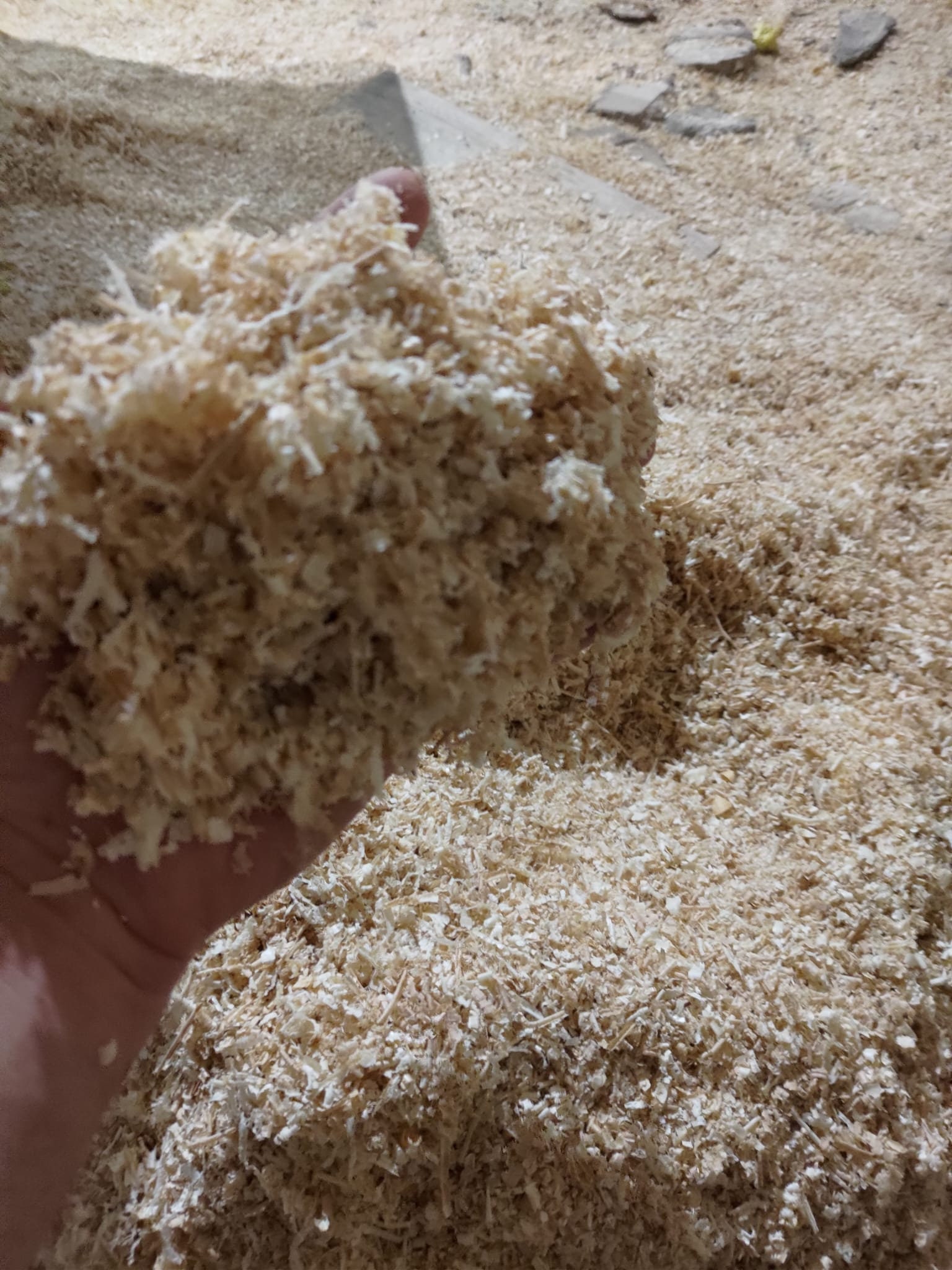 Natural Wood Sawdust Wood Dust Eco Friendly Fire Starters Organic Wood ...