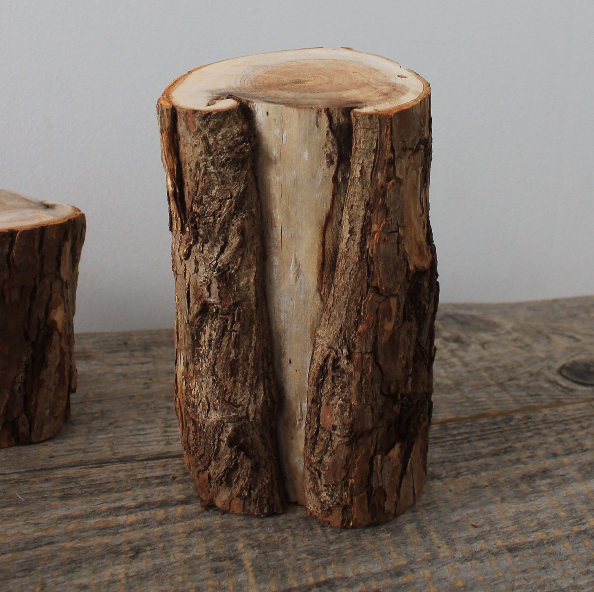 Natural Willow Wood Stump: Rustic Home Decor, DIY Crafts (1pcs) - Etsy