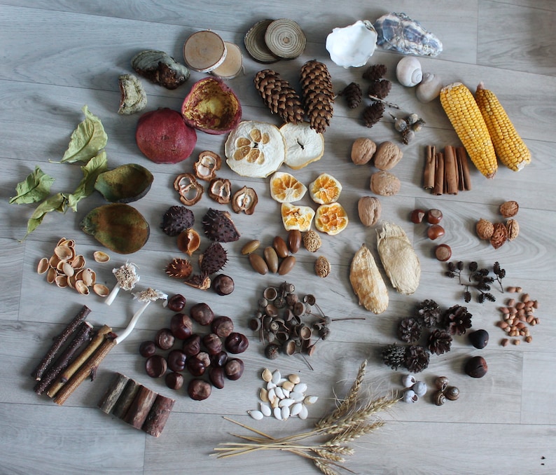 Natural Sensory Bin: Forest Finds, Kids Nature Study, Rustic Decor ...