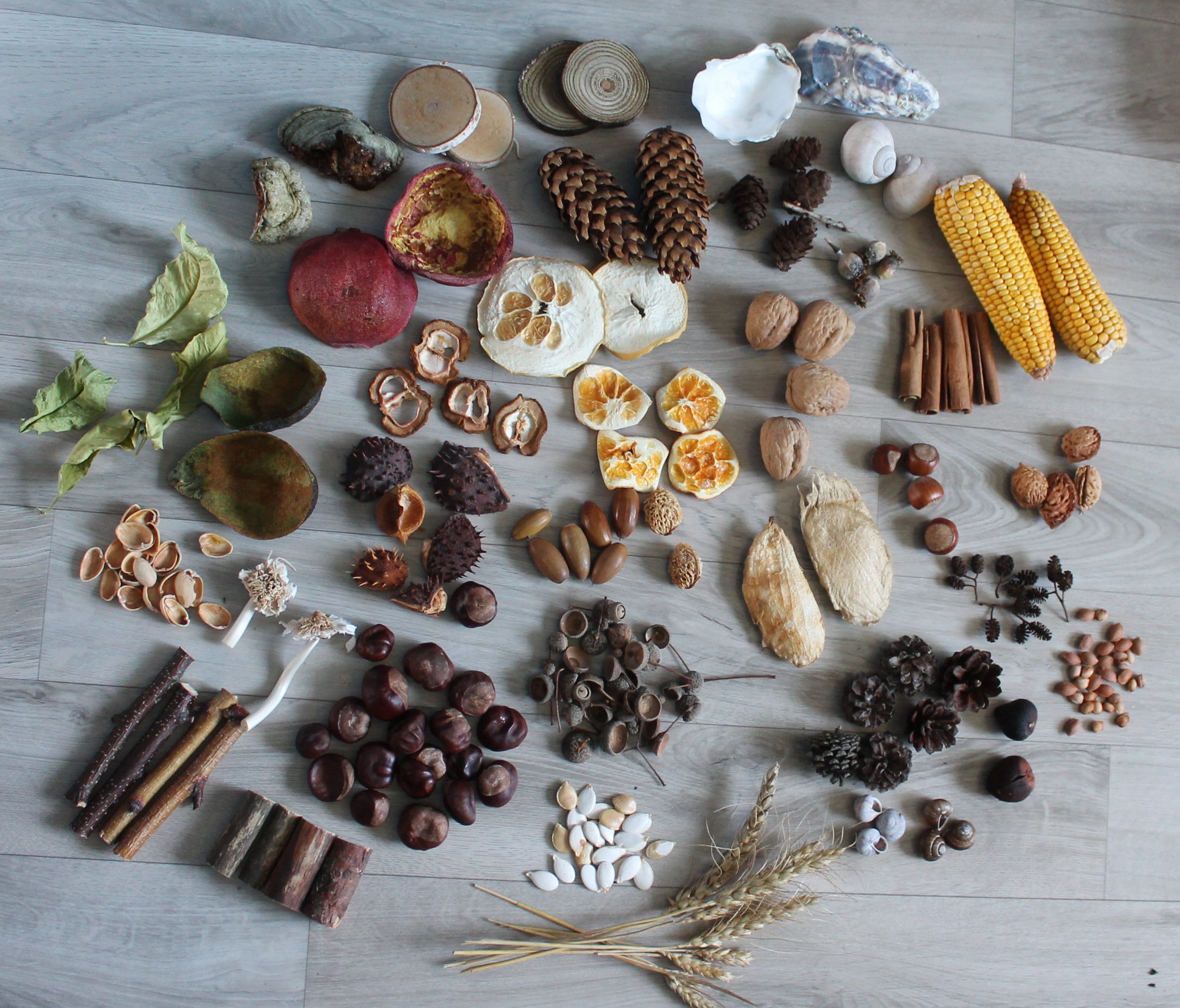 Natural Sensory Bin: Forest Finds, Kids Nature Study, Rustic Decor ...