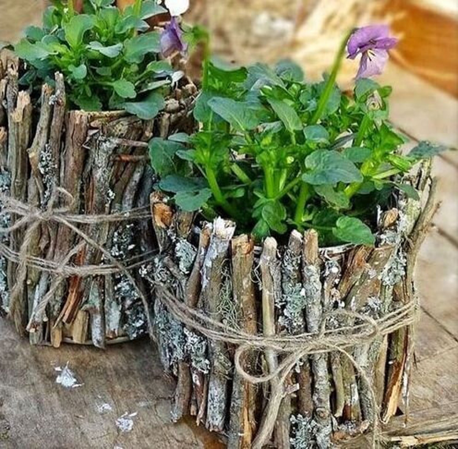 Birch Branches Wood Craft Sticks Decorative Natural Wood Twigs Supplies ...