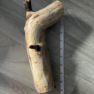 Wood Log Natural Craft Supplies Wood Branches Diy Kits for Adults - Etsy