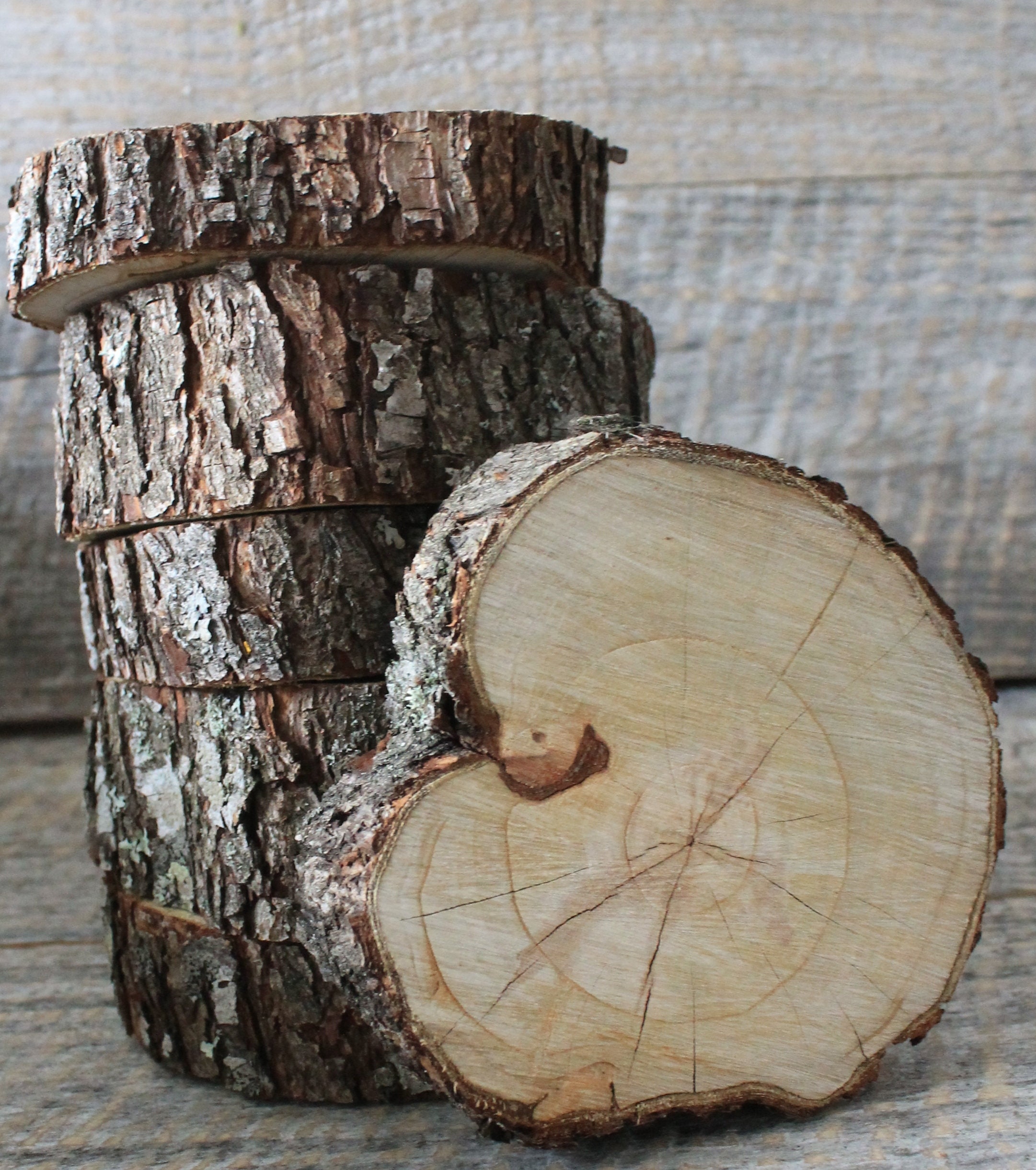 Wood Slab Wood Rounds Natural Wood Slices for Craft Do It Yourself ...