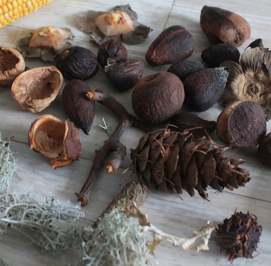 Forest Finds Natural Craft Supplies Fairy Garden Kit Woodland Craft Kit ...