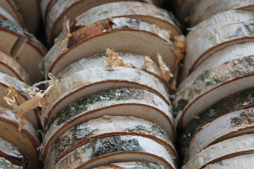 Birch Wood Slices (20pcs): Natural Rustic Craft Supplies - Etsy