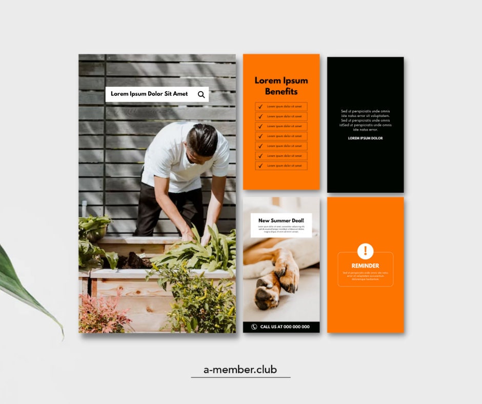 Pest Control Social Media Story Templates | Pest Control Instagram ...