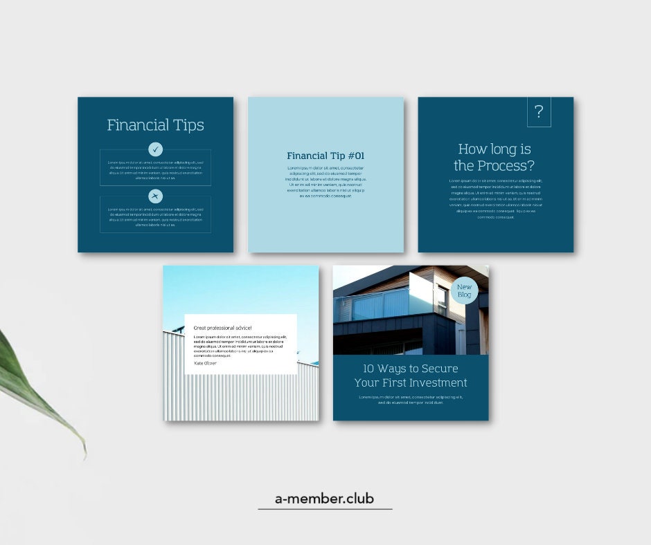 Financial Canva | Financial Advisor Template | Credit Coach Instagram ...
