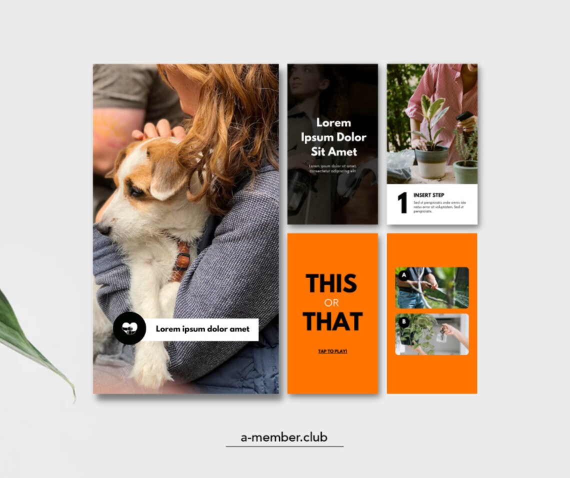 Pest Control Social Media Story Templates | Pest Control Instagram ...