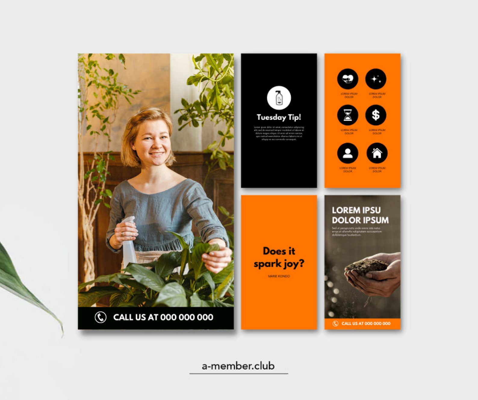 Pest Control Social Media Story Templates | Pest Control Instagram ...