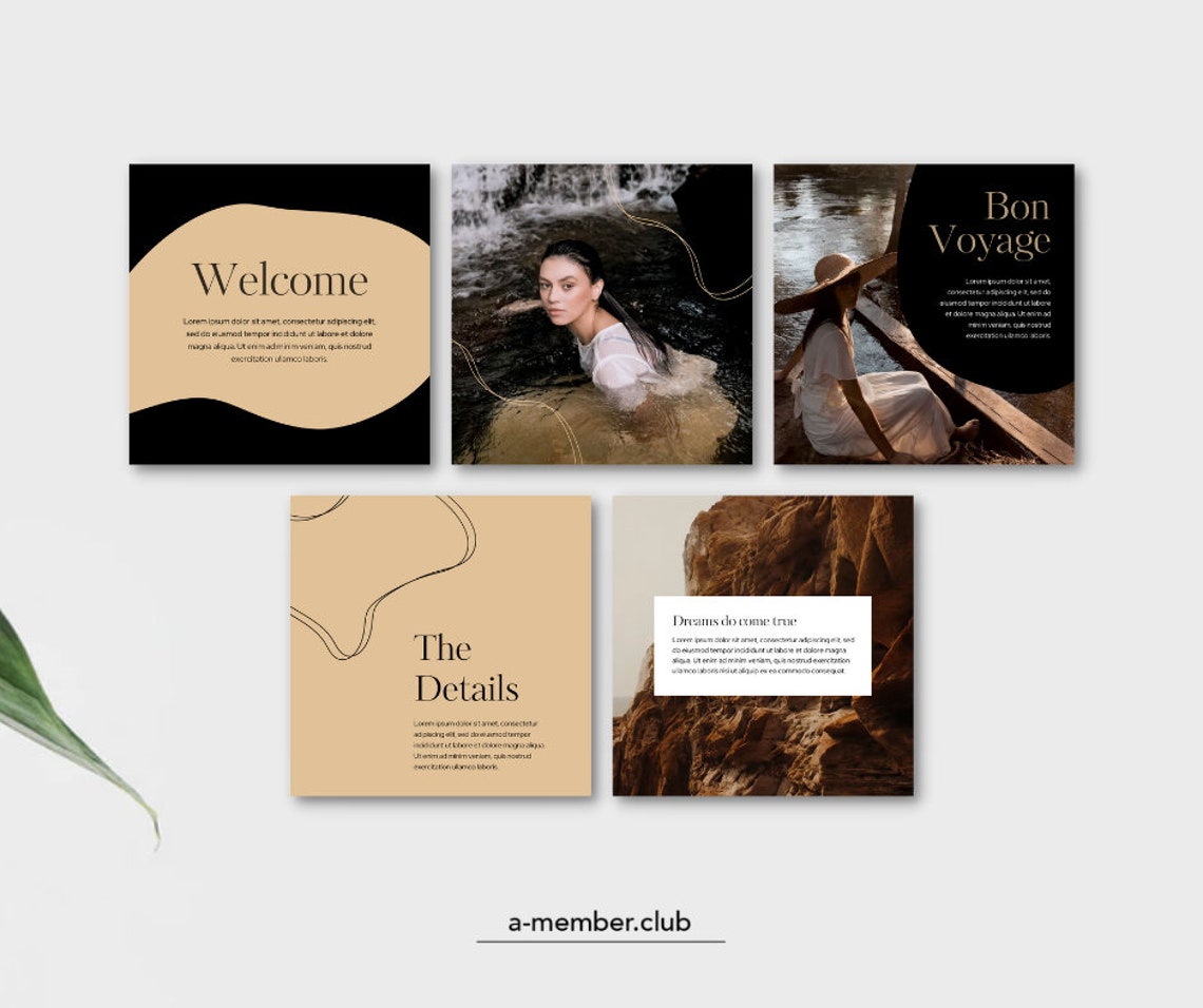 Classy Canva Templates Aesthetic Canva Posts Modern Canva Posts Luxury ...