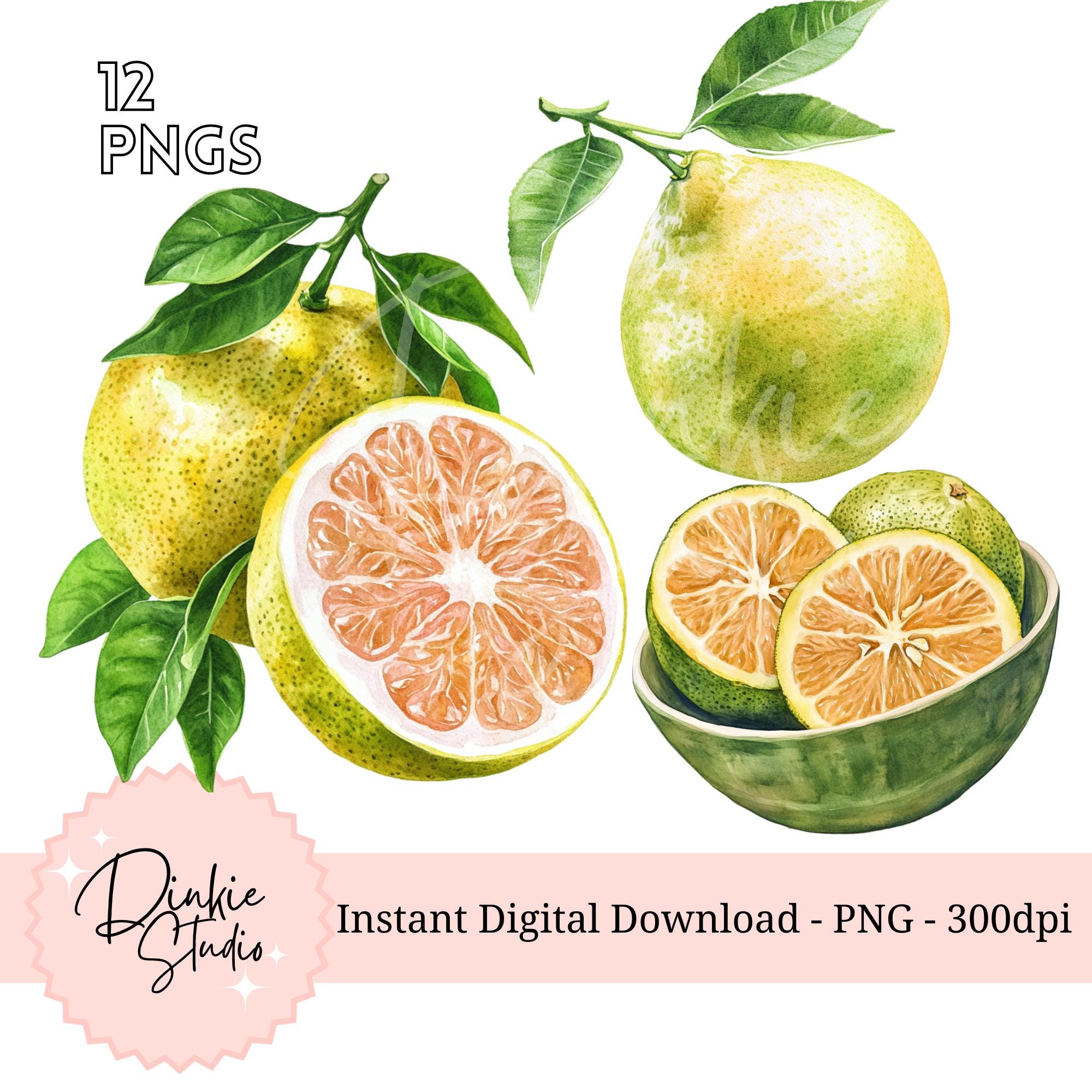 12 Watercolor Pomelo Clipart Bundle - 12 Juicy Pomelo Pngs for Digital ...