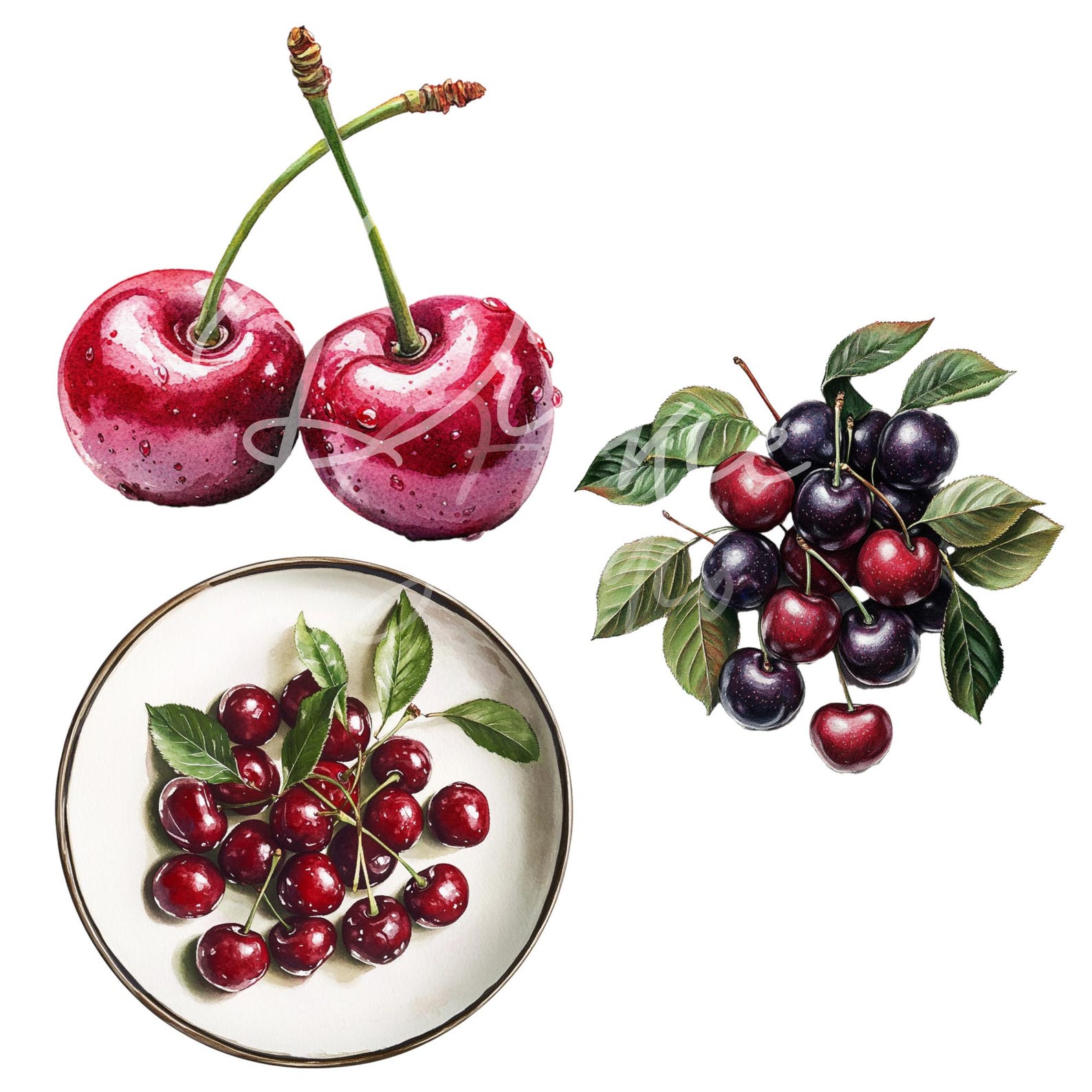 12 Watercolor Cherry Clipart Bundle - 12 Juicy Cherry Pngs for Digital ...