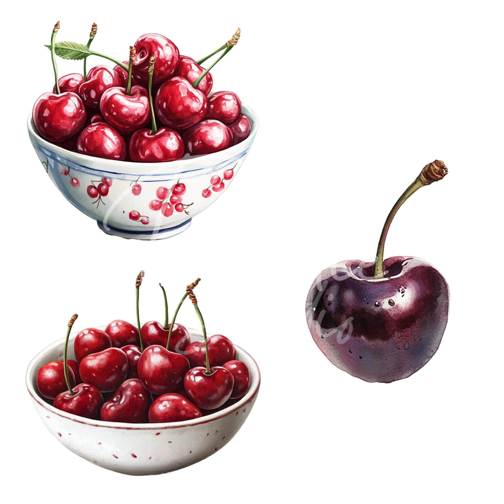 12 Watercolor Cherry Clipart Bundle - 12 Juicy Cherry Pngs for Digital ...