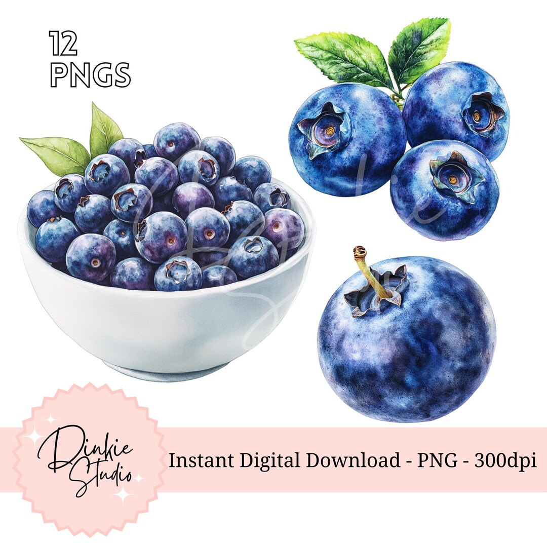 12 Watercolor Blueberry Clipart Bundle - 12 Beautiful Transparent PNG ...