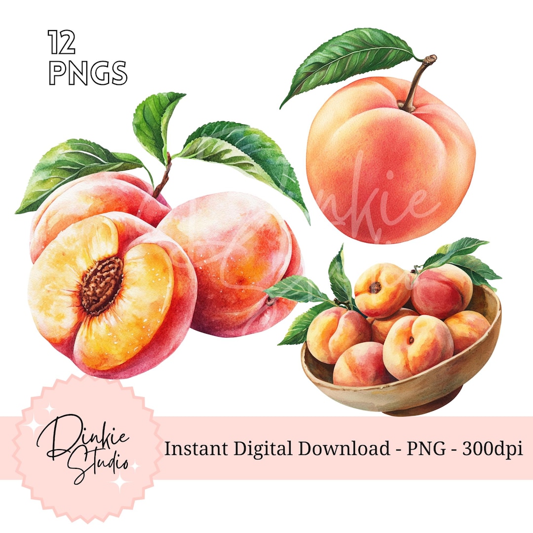 12 Watercolor Peach Clipart Bundle - 12 Juicy Peach Pngs for Digital ...
