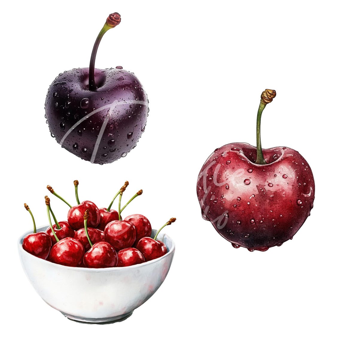 12 Watercolor Cherry Clipart Bundle - 12 Juicy Cherry Pngs for Digital ...