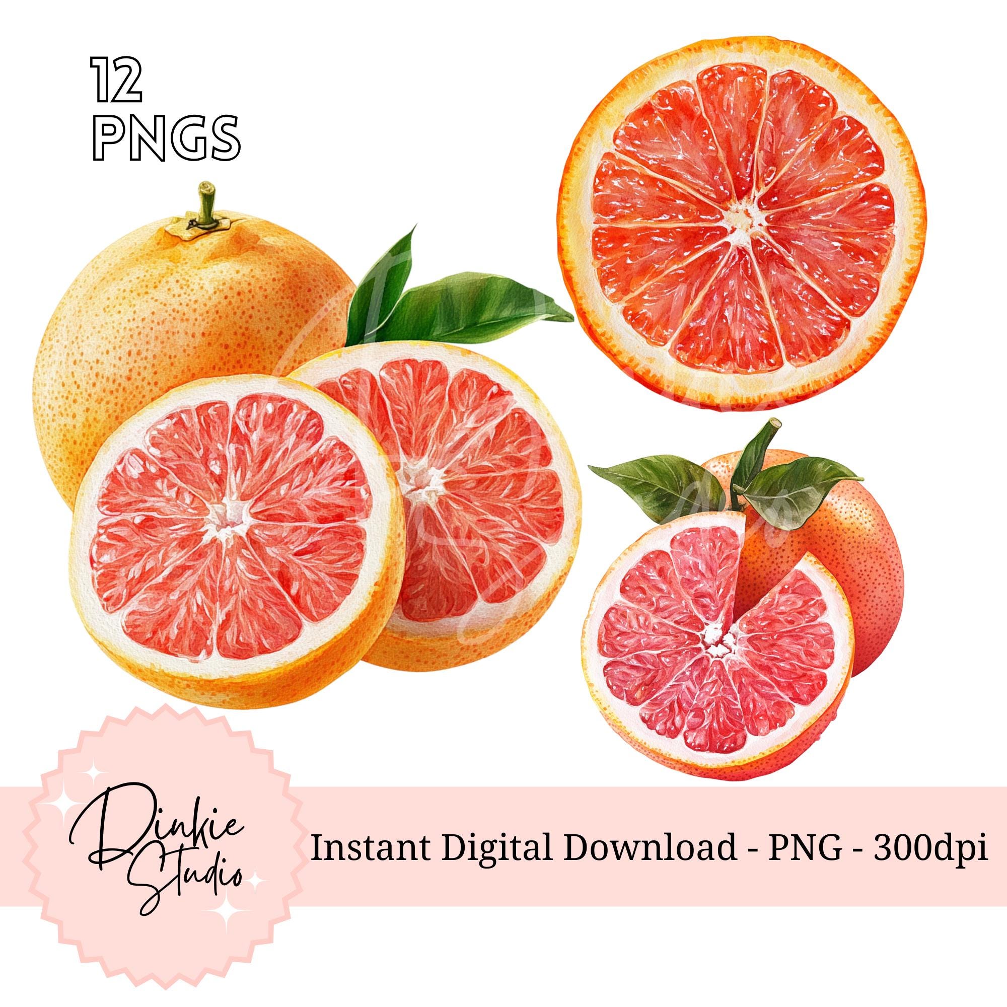 12 Watercolor Grapefruit Clipart Bundle - 12 Juicy Grapefruit Pngs for ...