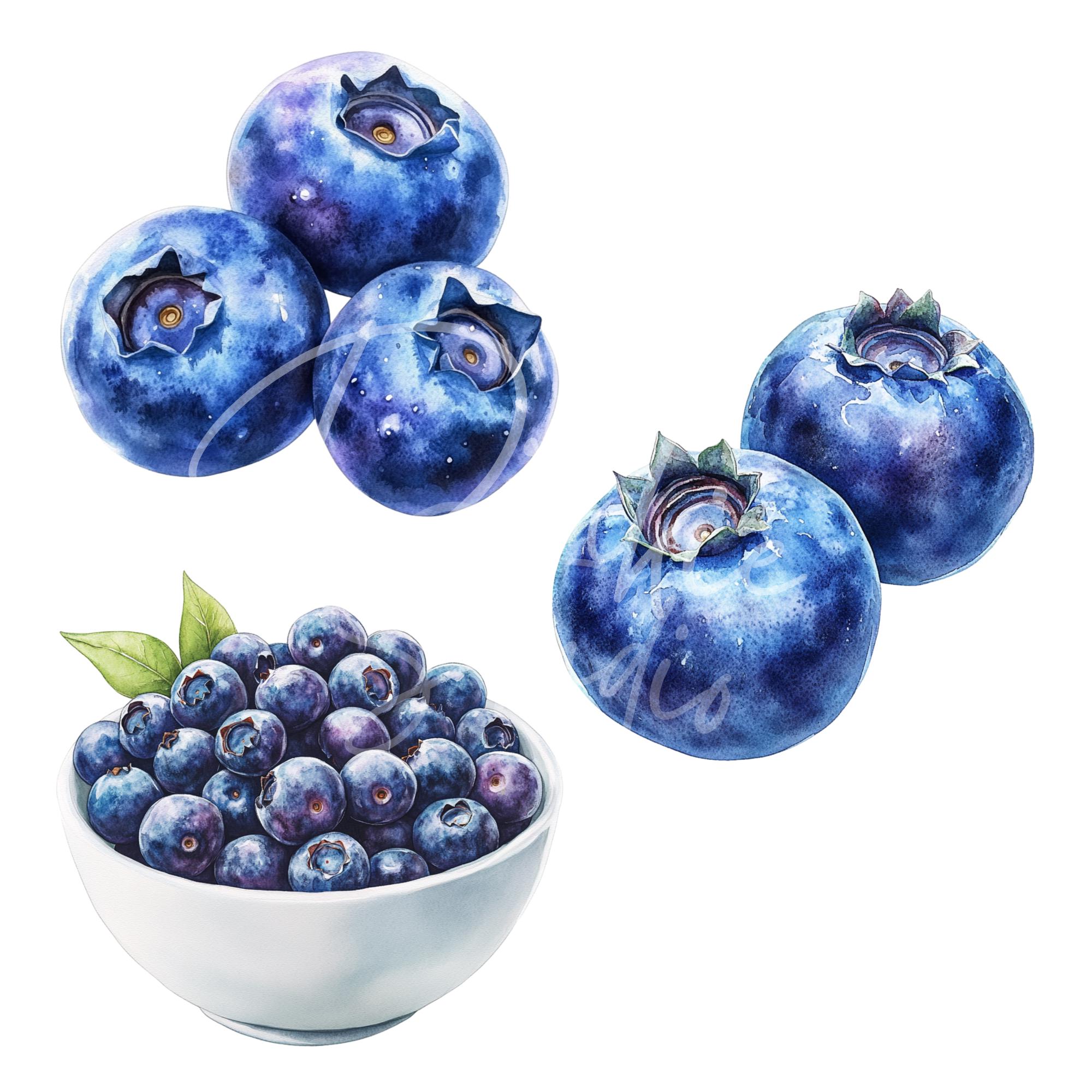 12 Watercolor Blueberry Clipart Bundle - 12 Beautiful Transparent PNG ...