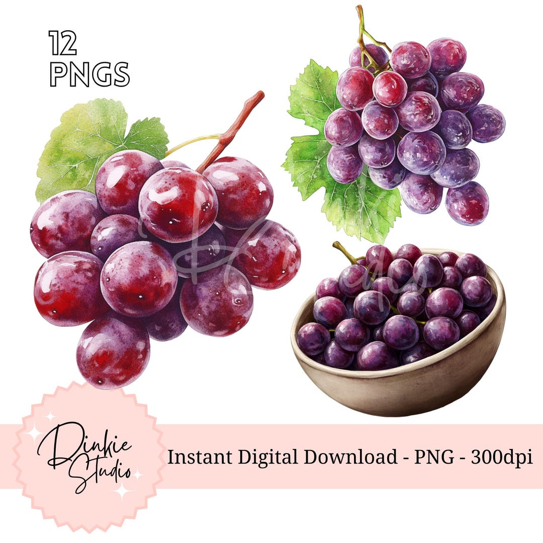 12 Watercolor Red Grape Clipart Bundle - 12 Lush Red Grapes Pngs for ...