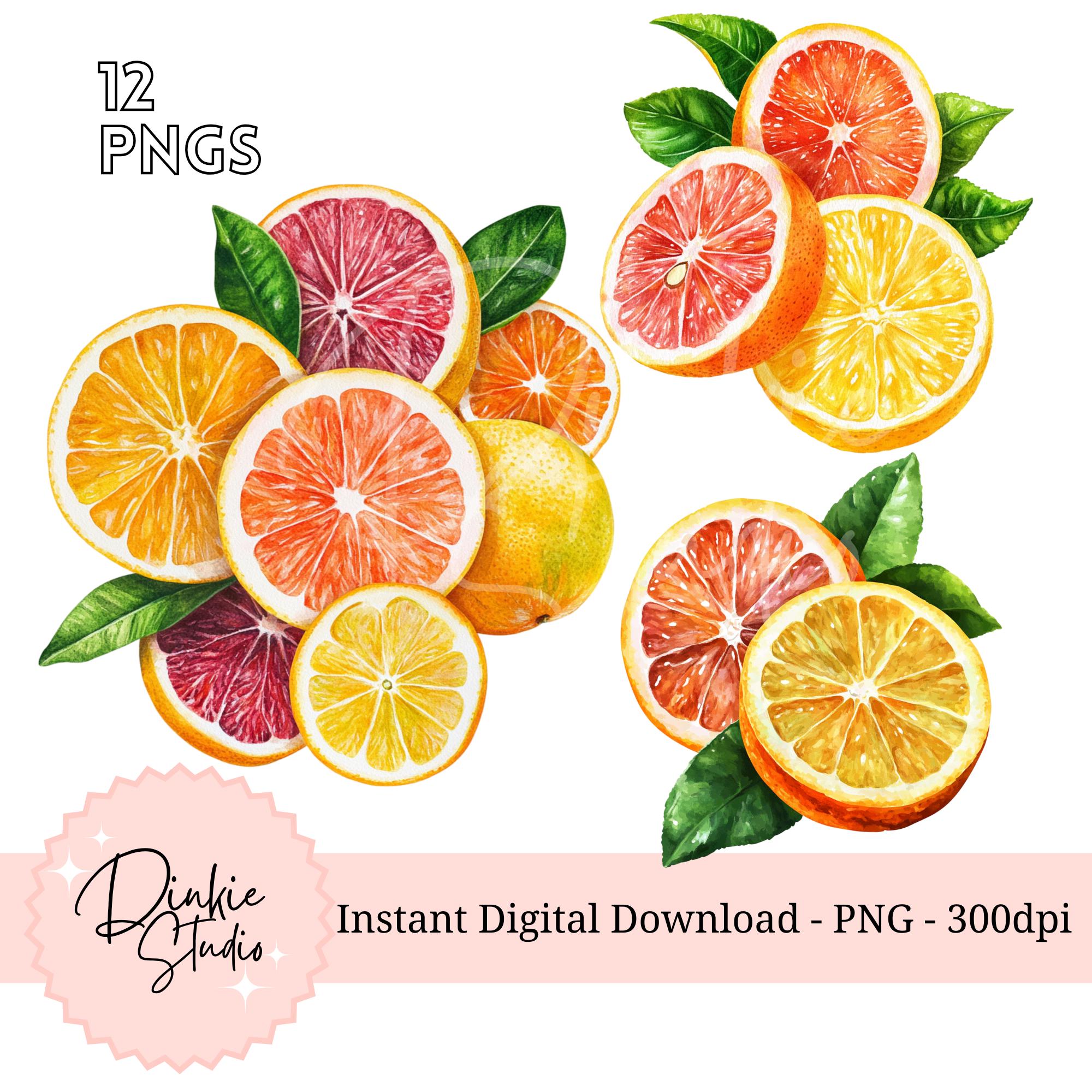 12 Watercolor Citrus Fruit Clipart Bundle - 12 Orange, Lemon, Lime ...