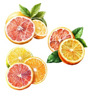 12 Watercolor Citrus Fruit Clipart Bundle - 12 Orange, Lemon, Lime ...