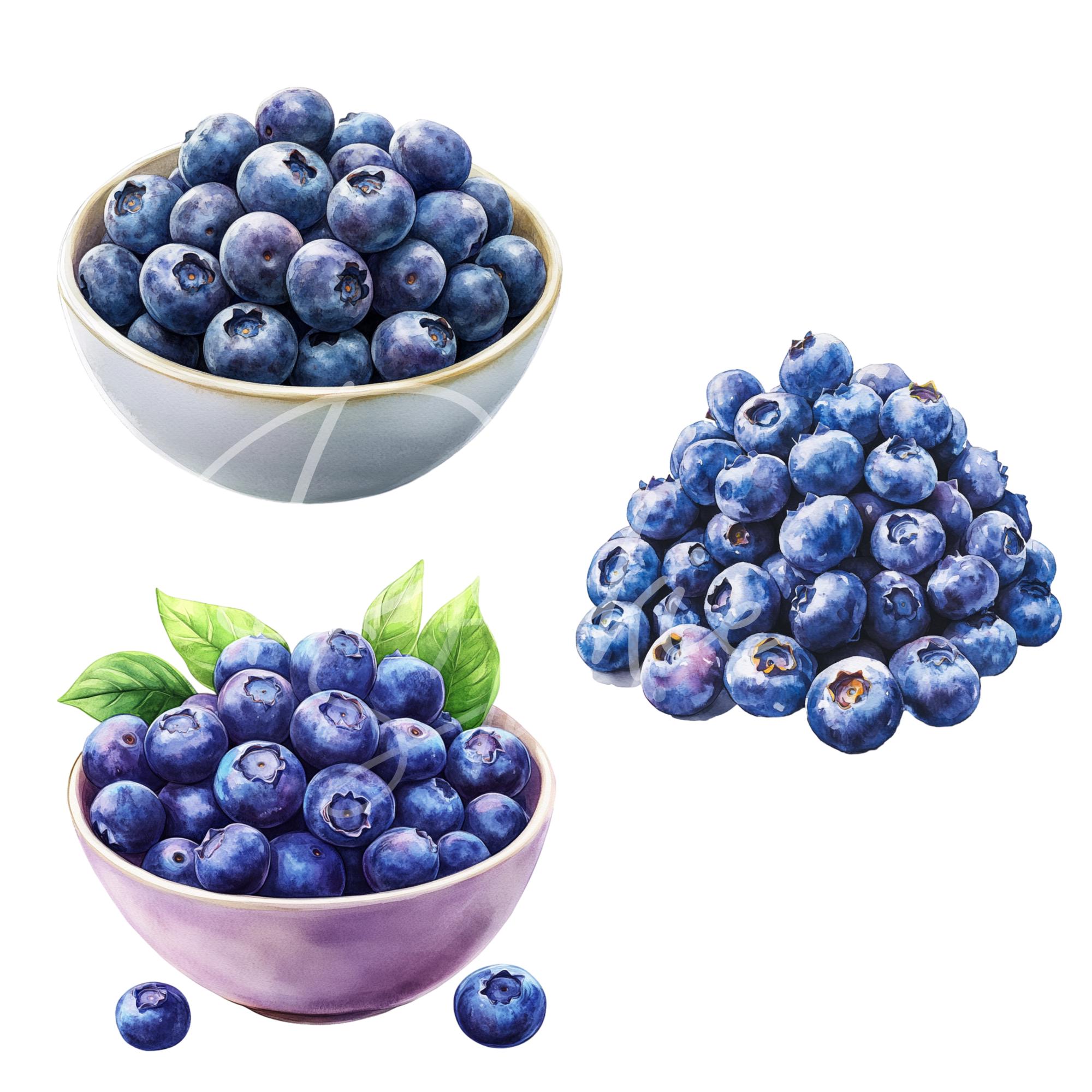 12 Watercolor Blueberry Clipart Bundle - 12 Beautiful Transparent PNG ...