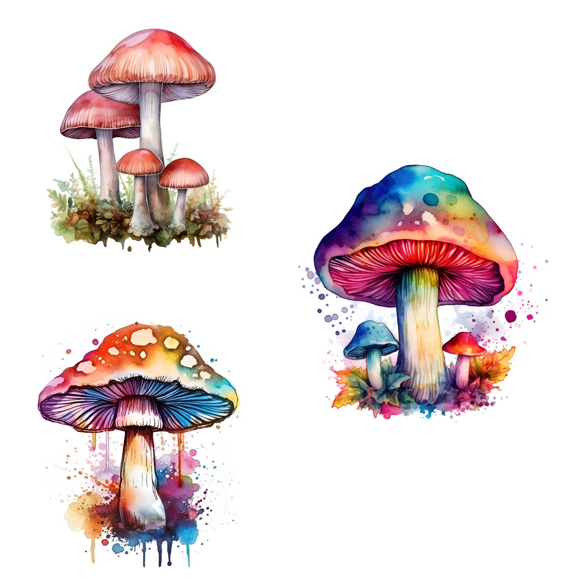 Watercolor Mushrooms Clipart in PNG Format Instant Download for ...
