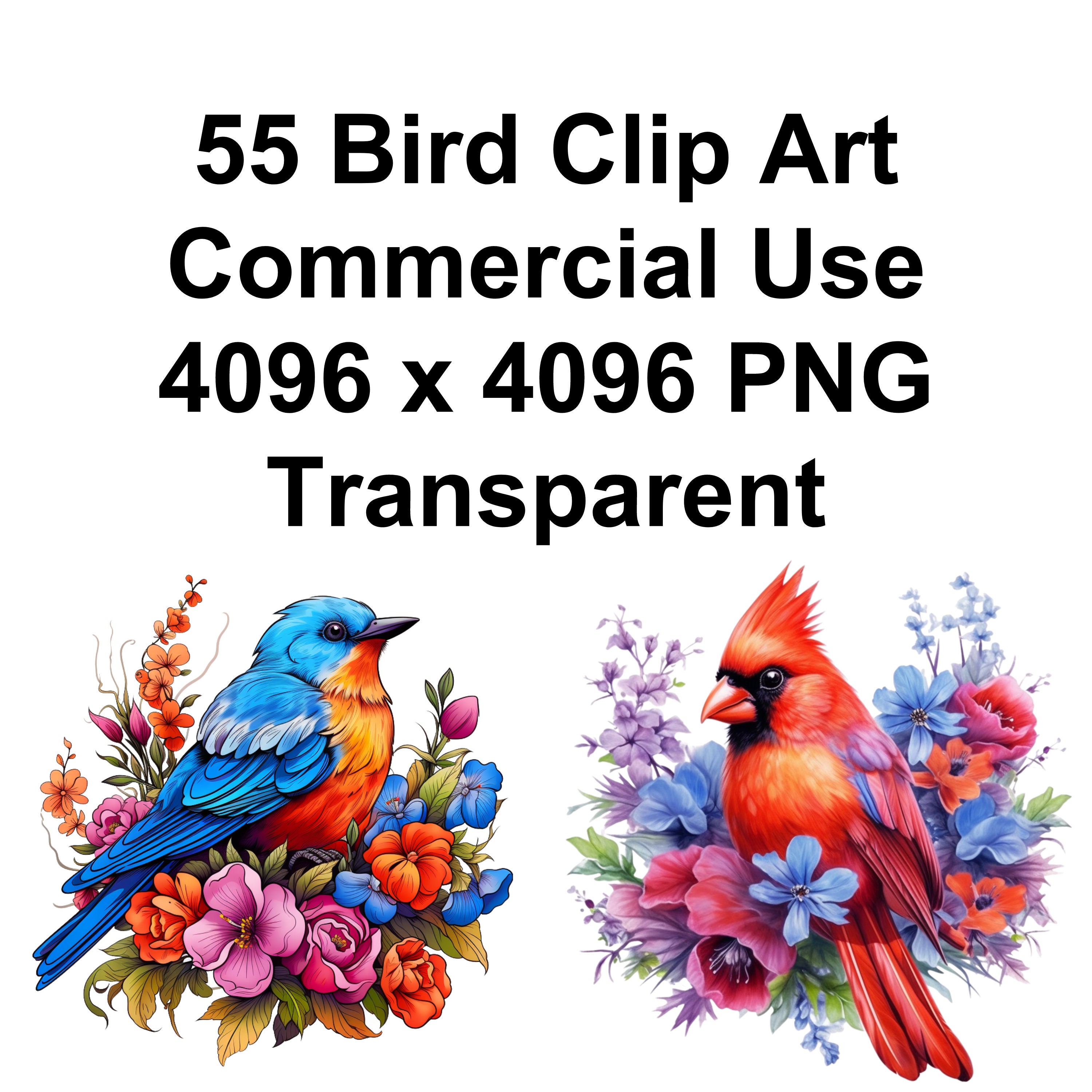 55 Bird Clip Art for Commercial and Personal Use - Etsy