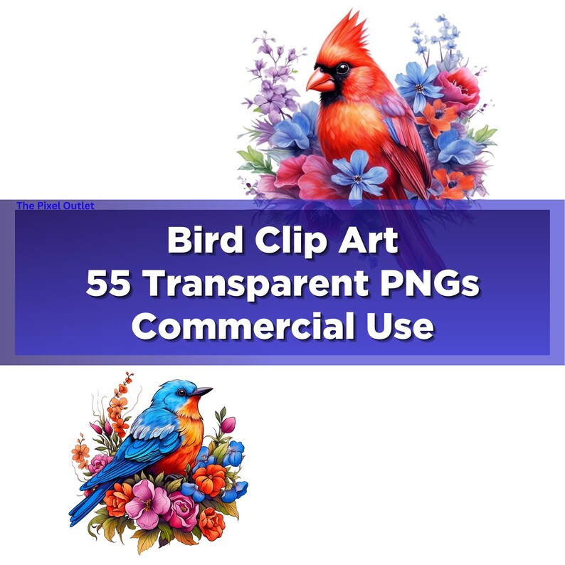 55 Bird Clip Art for Commercial and Personal Use - Etsy