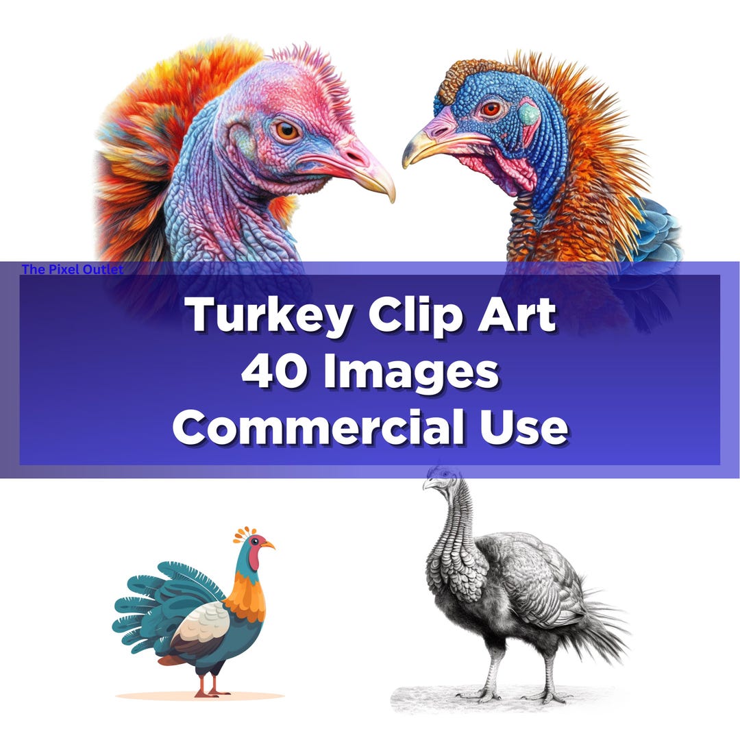 40 Turkey Clip Art, PNG Format, Commercial Use, Variety of Styles - Etsy