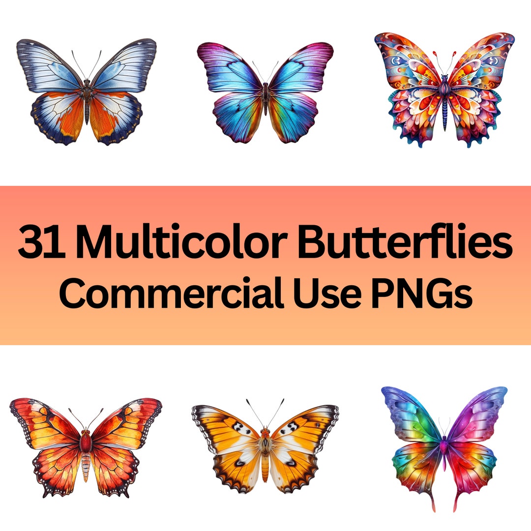 31 Colorful Butterfly Clip Art PNG for Commercial Use - Etsy