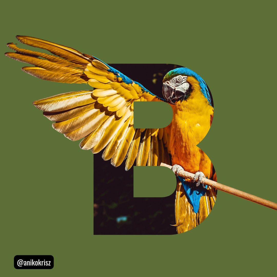 Wild Animals Alphabet Transparent PNG Elements Scrapbooking Digital Set ...