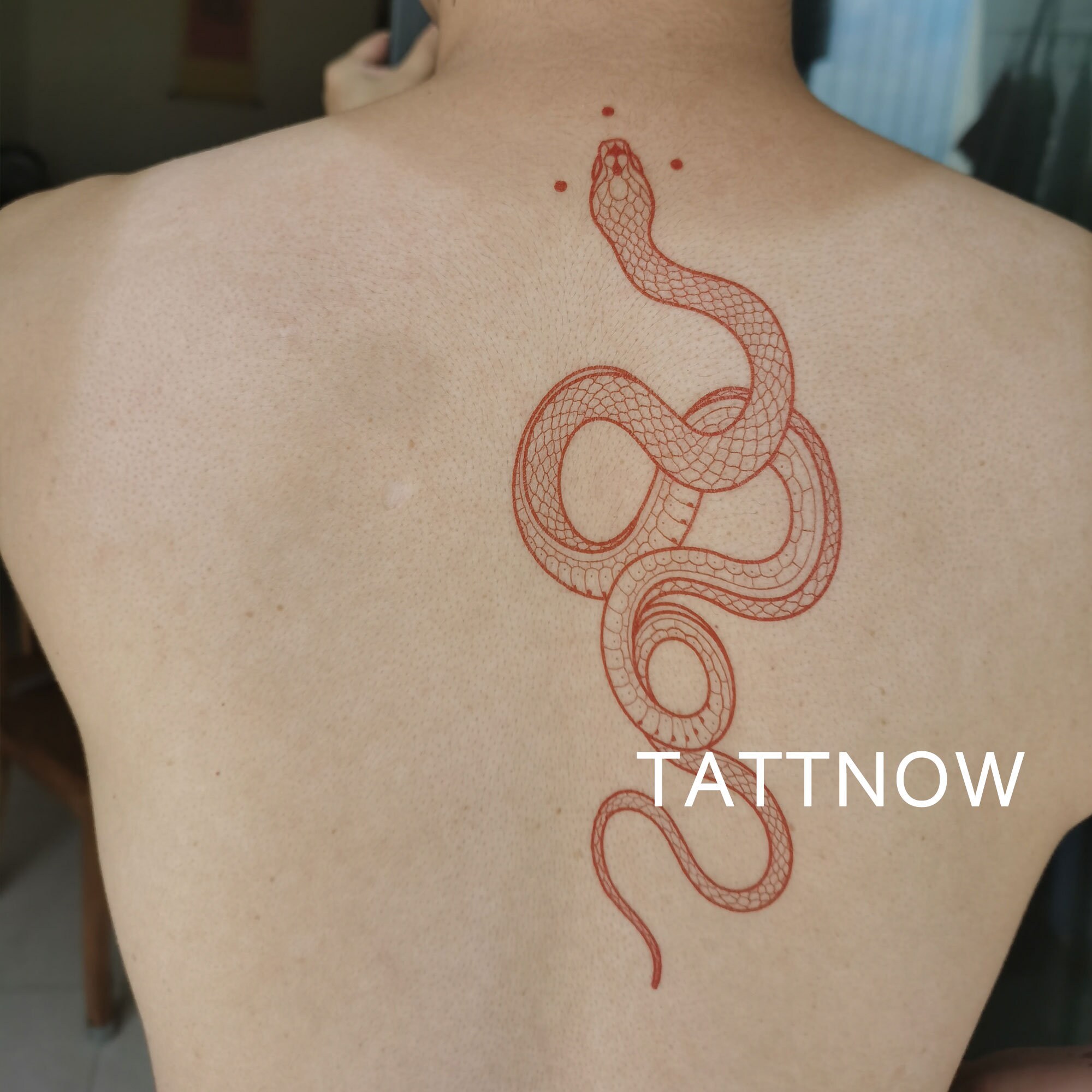 Red Snake Large Temporary Tattoo Sleeve Temporary Tattoo - Etsy