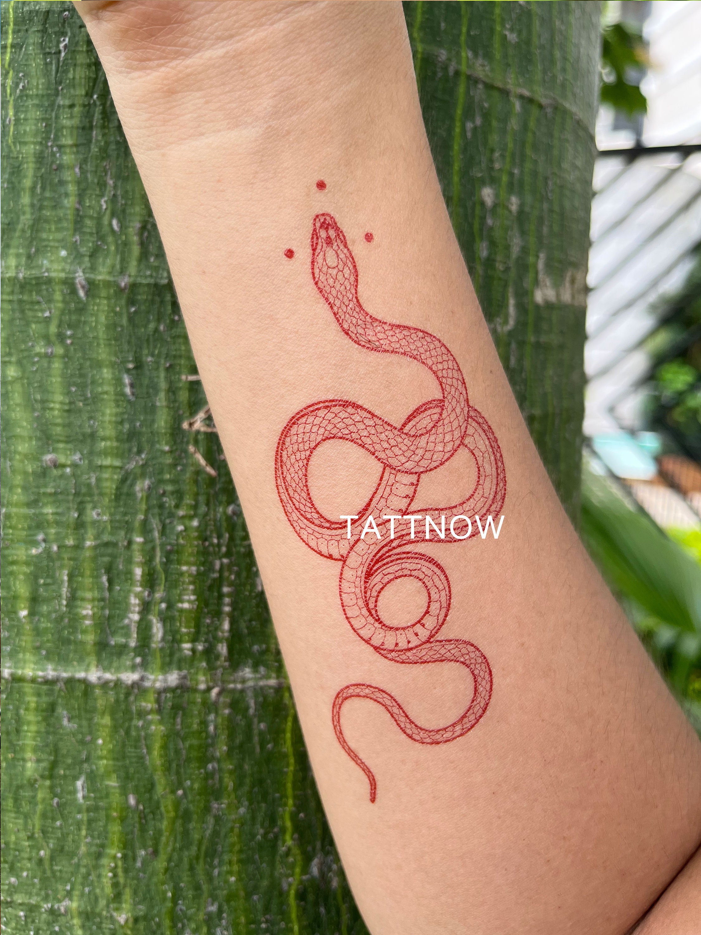 Red Snake Large Temporary Tattoo Sleeve Temporary Tattoo - Etsy