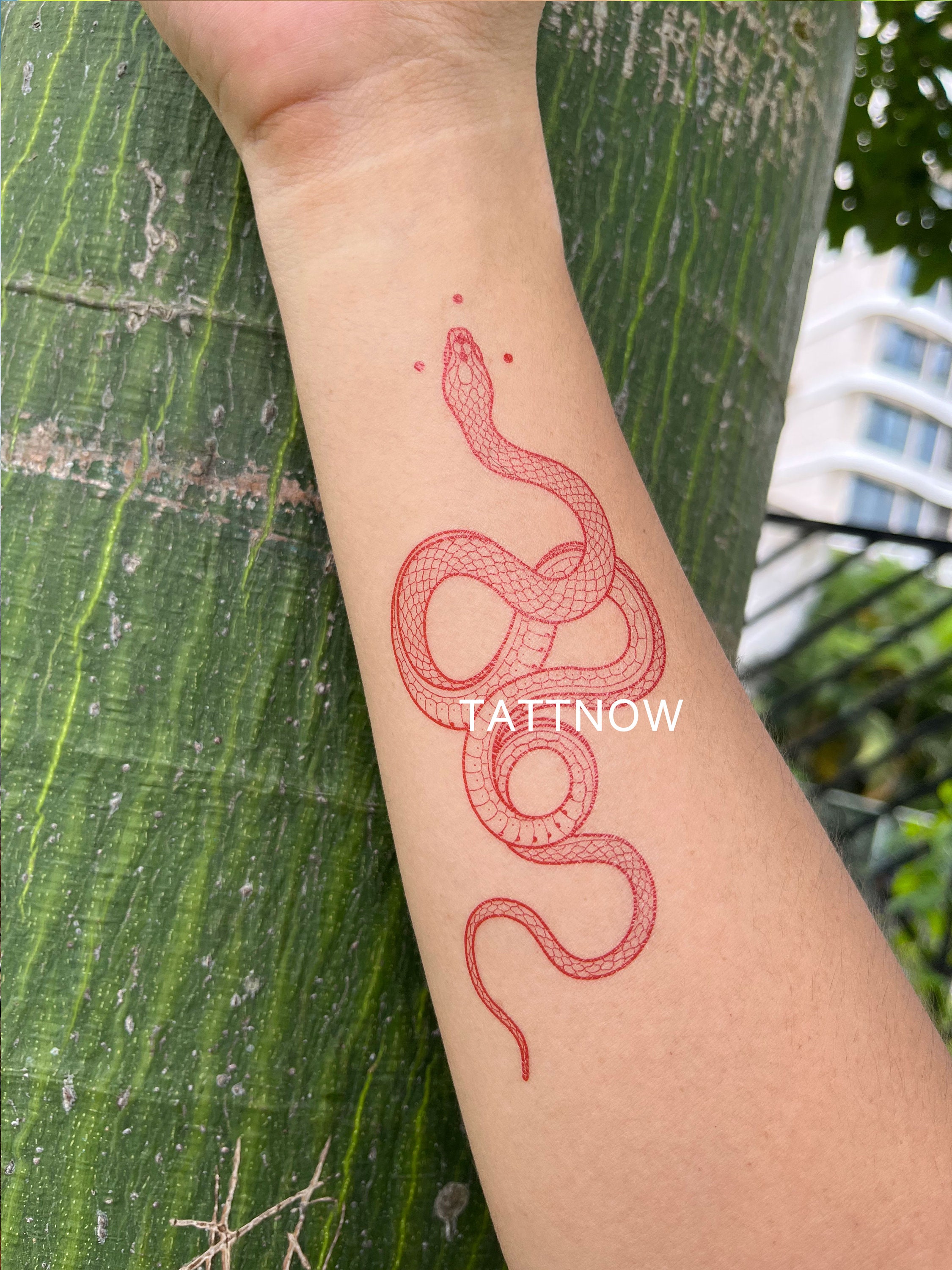 Red Snake Large Temporary Tattoo Sleeve Temporary Tattoo - Etsy