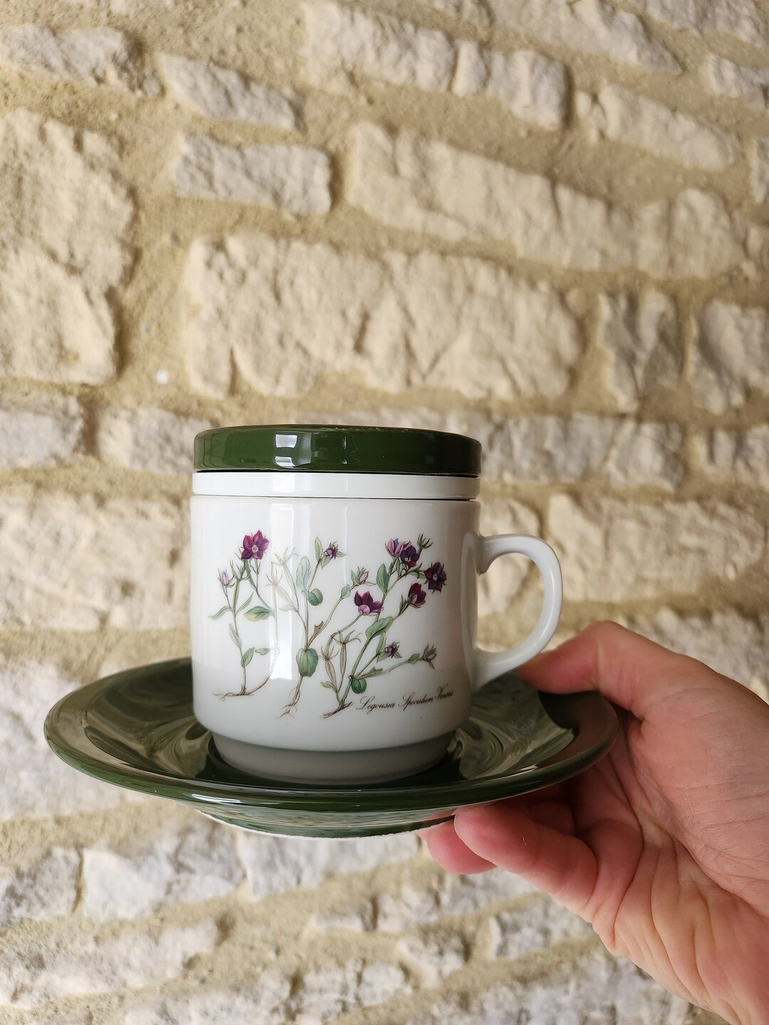 Seltmann Weiden Botanical Tea Pot in Shades of Green, Purple and White ...