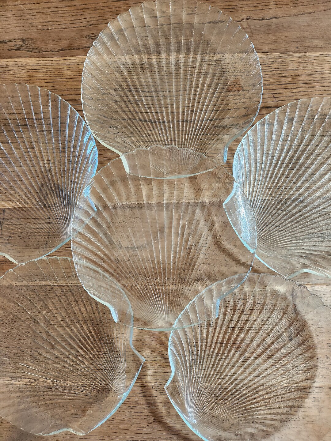 Set of 6 Shell / Scallop Plates in Transparent Textured Glass - Etsy