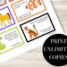 Animal Lunchbox Notes for Kids, Printable Lunch Box Jokes, Lunch Notes ...