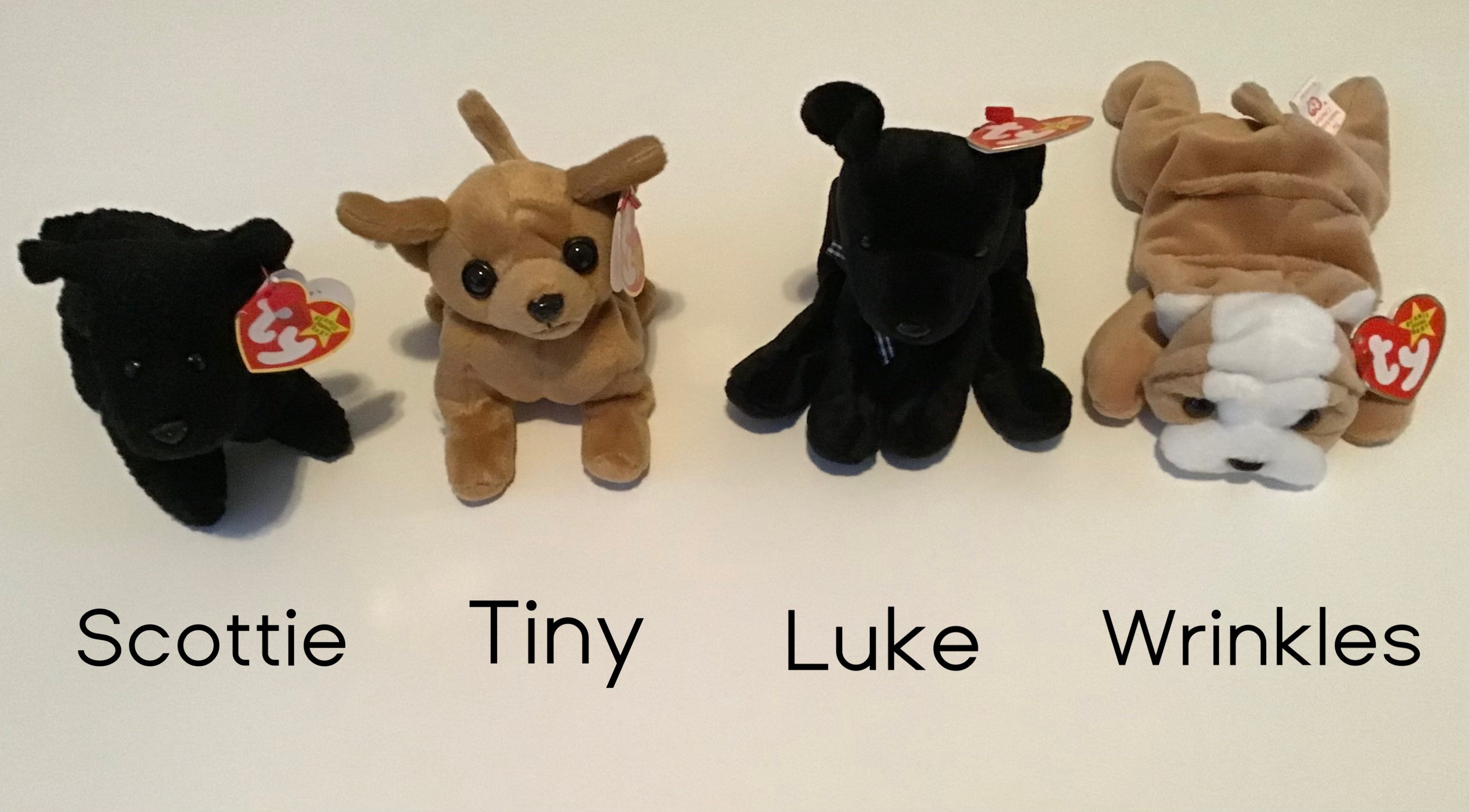 Ty Beanie Babies Dogs - Etsy