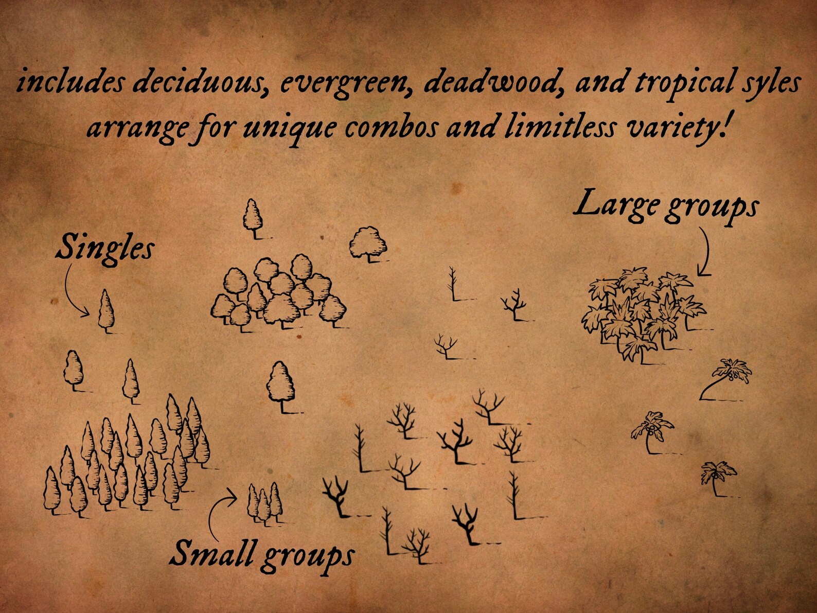 46 Tree Stamps for Procreate Forest Brushes for Fantasy Maps Mapmaking ...