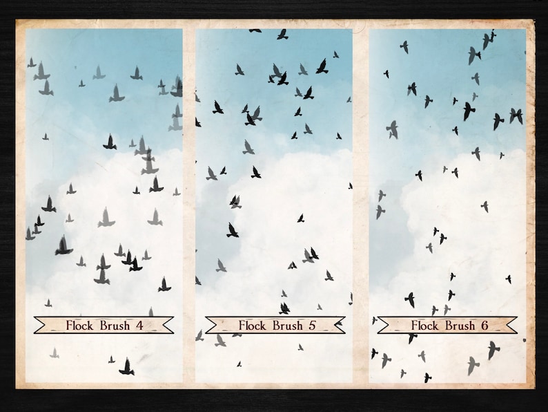 42 Raven Crow Brushes and Stamps for Procreate | Bird Brushes | Flock ...