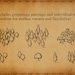 46 Tree Stamps for Procreate | Forest Brushes for Fantasy Maps ...