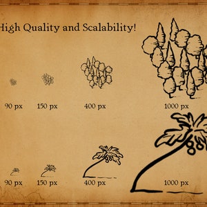 46 Tree Stamps for Procreate | Forest Brushes for Fantasy Maps ...