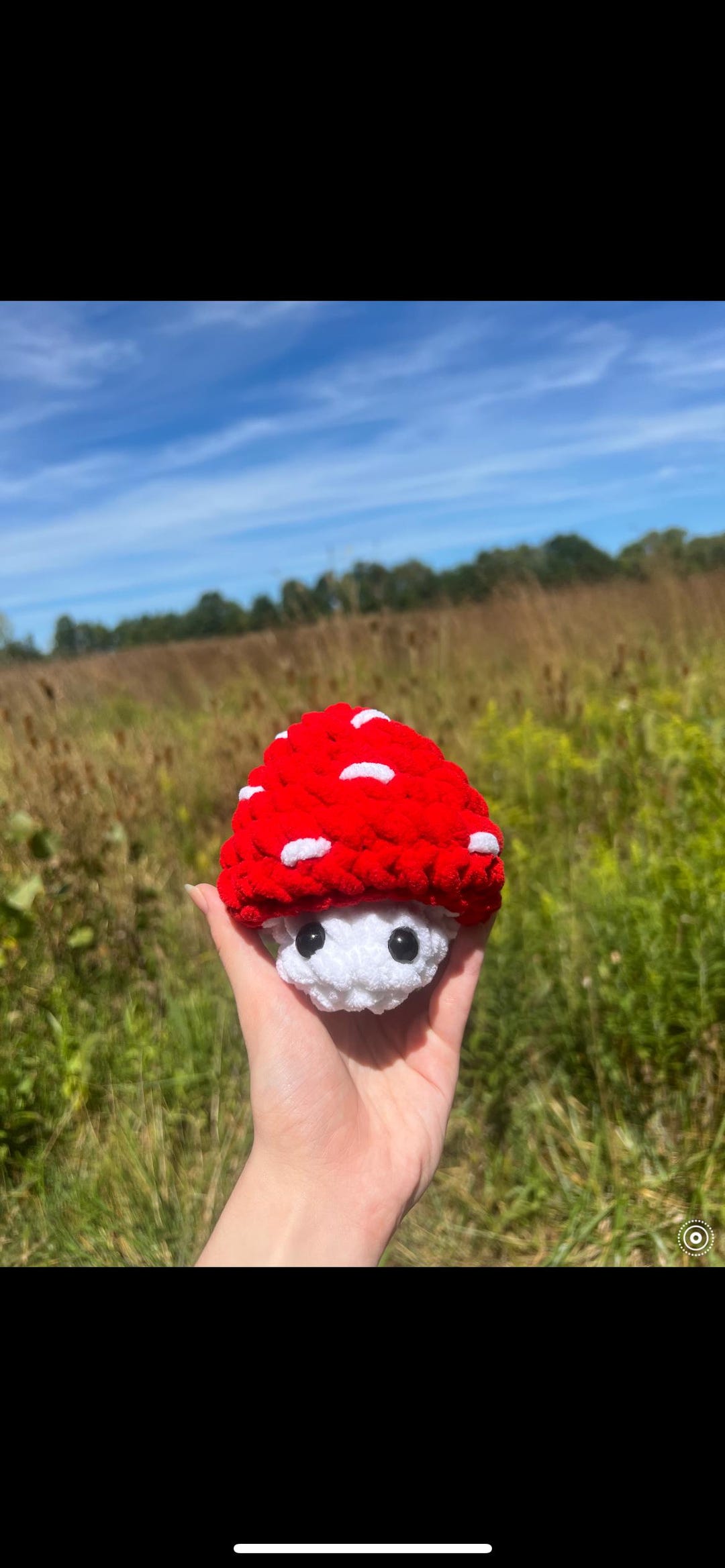 Crochet Mushroom Pop-up Plush - Etsy