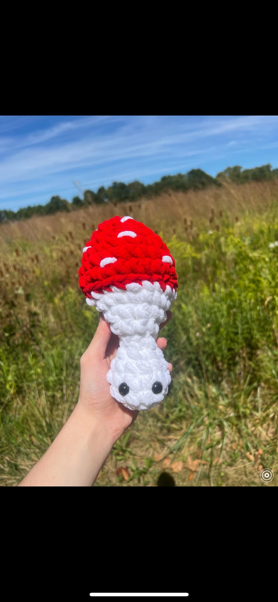 Crochet Mushroom Pop-up Plush - Etsy