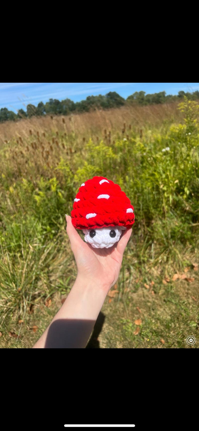 Crochet Mushroom Pop-up Plush - Etsy