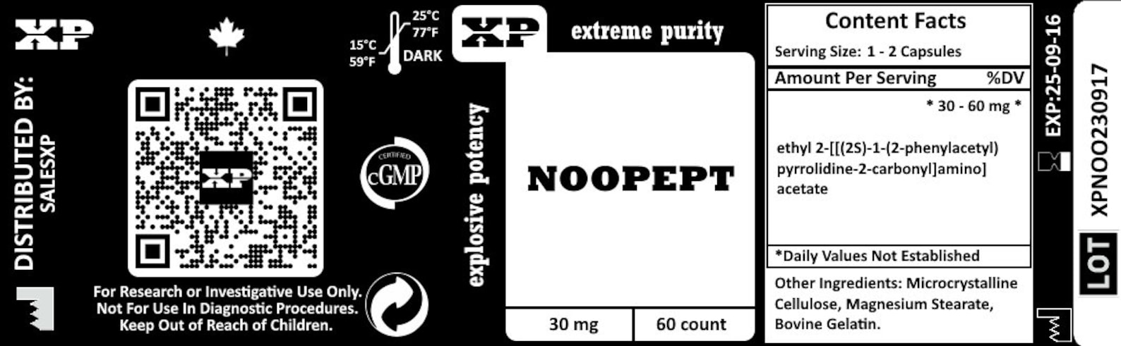 Noopept 30mg X 60 Premium Capsules, 1800 Mg - Etsy
