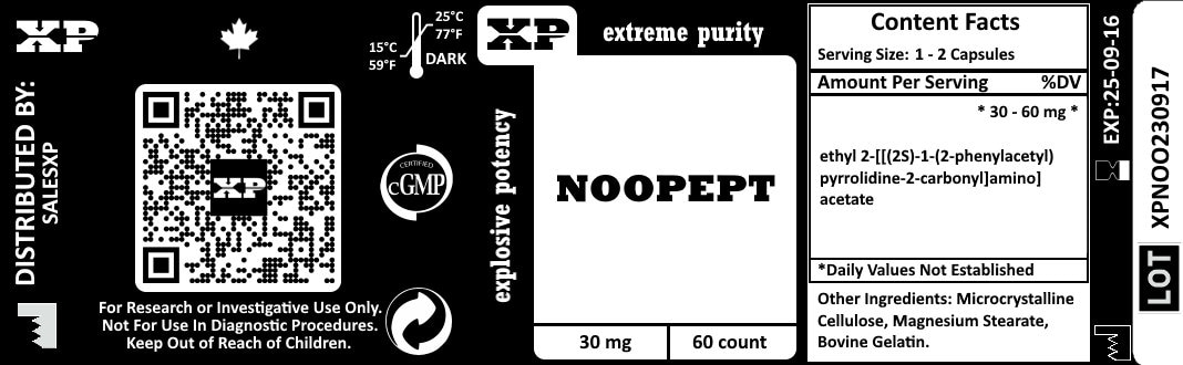 Noopept 30mg X 60 Premium Capsules, 1800 Mg - Etsy UK